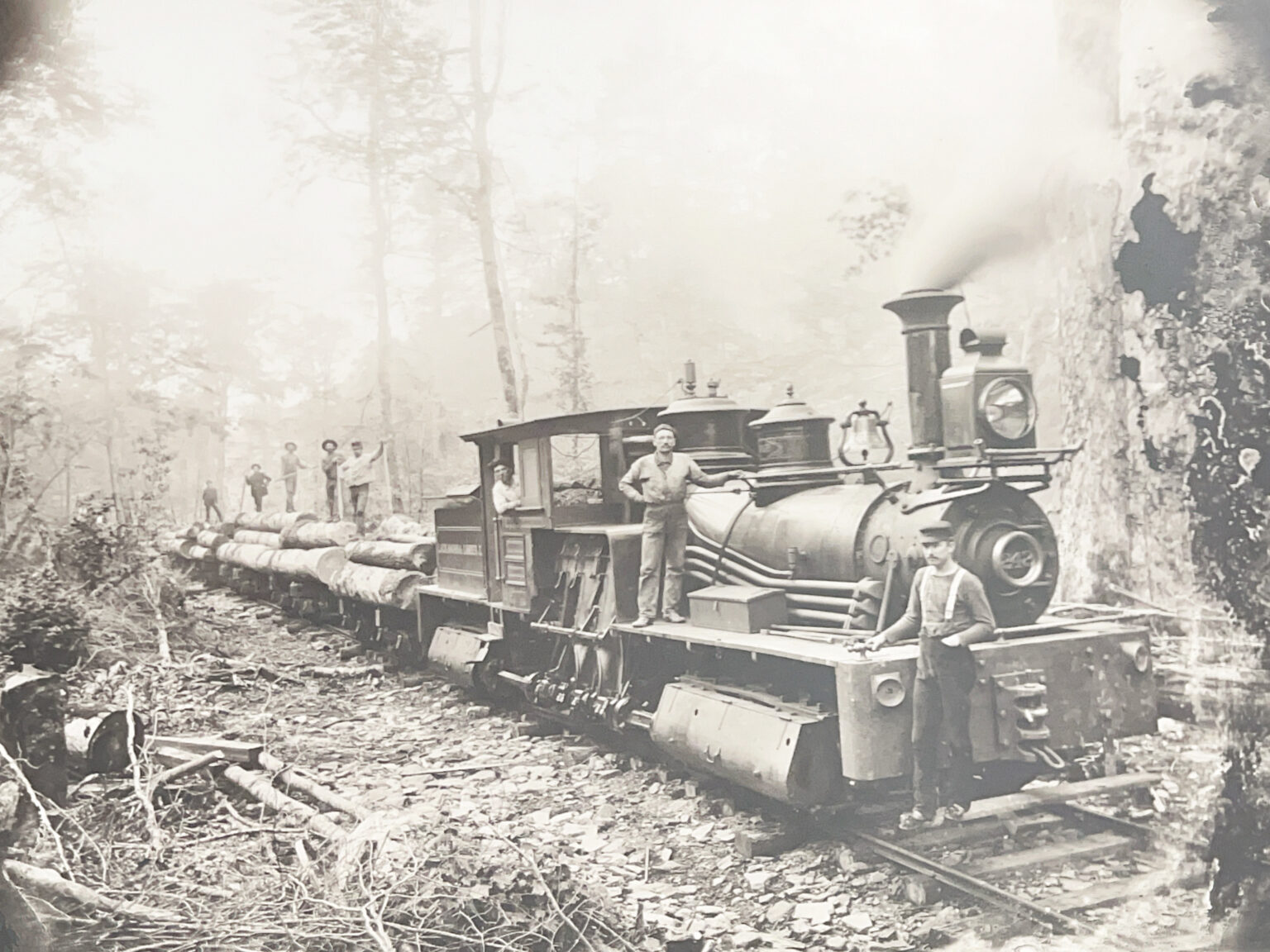 Lackawanna Lumber Company Log Train - Near Cross Fork, Potter County ...